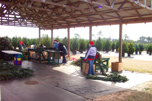 FISH RIVER TREES | HOME OF "LIVING CHRISTMAS TREES"